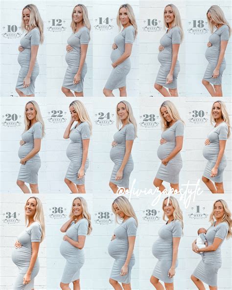 Pregnancy Progression Olivia Zapo Weekly Pregnancy Photos