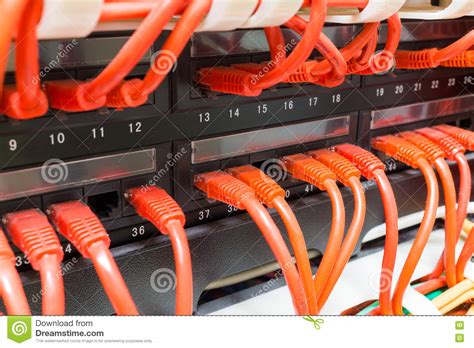 Close Up Of Red Network Cables Connected To Switch Stock Image Image Of Network Hardware