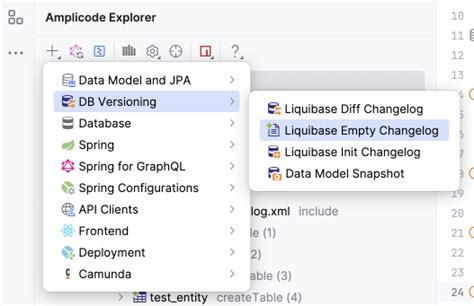 Liquibase Support Amplicode Documentation