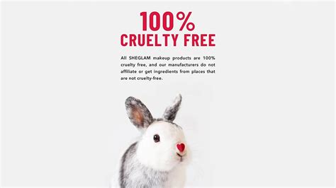 براش کرم پودر شیگلم فروشگاه اینترنتی گالری لیلیوم