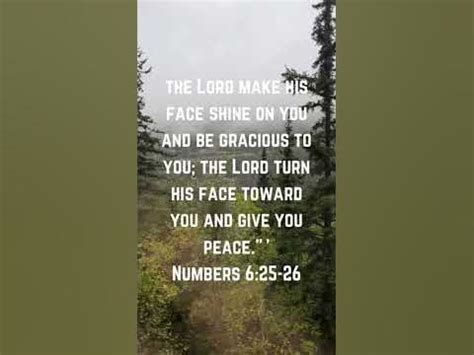 The Bible Verse Of The Day Numbers‬ 6‬‭25‬ ‭26‬‬‬‬‬‬ ‬ Day 52 Fri