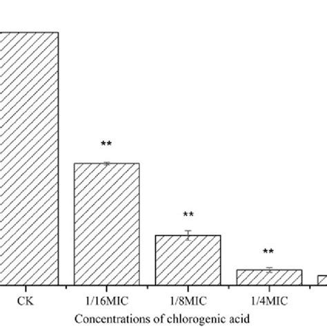 Growth Curve For Staphylococcus Aureus Strain Atcc 29213 In The