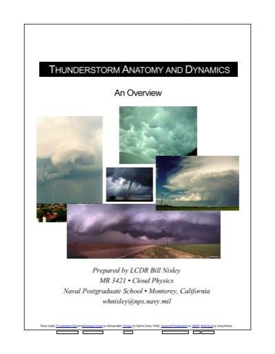 Thunderstorm Anatomy And Dynamics