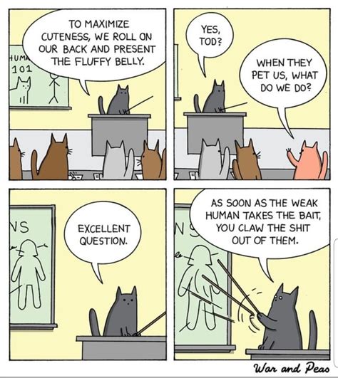 Bubbles Irl R Bubbles Irl