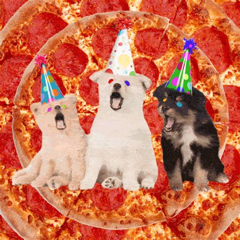 Pathing And Pizza Parties Anthony Bucci