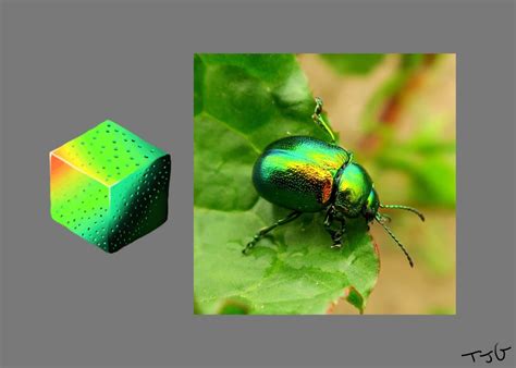 Texture Practice Iridescent Beetle Shell By Terriblyjadedgamer On