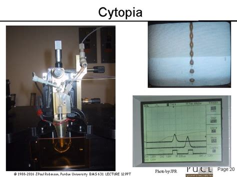 Bms 631 Lecture 12 Flow Cytometry Theory Sorting