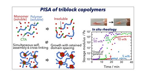 In Situ Monitoring Of Polymerization Induced Self Assembly And Gelation During The Synthesis Of