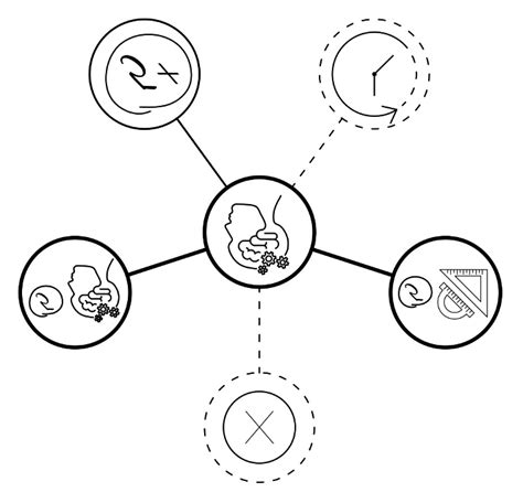 Visualisation Of The Network Of Relationships Between The Concentration