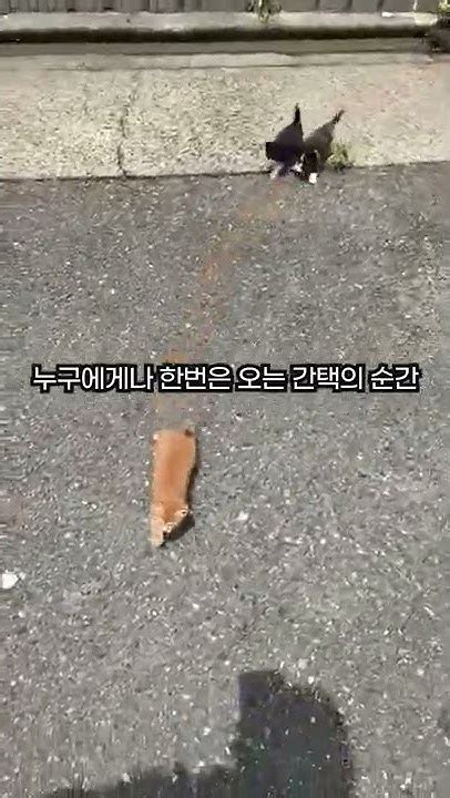 우리 집으로 가자 Youtube