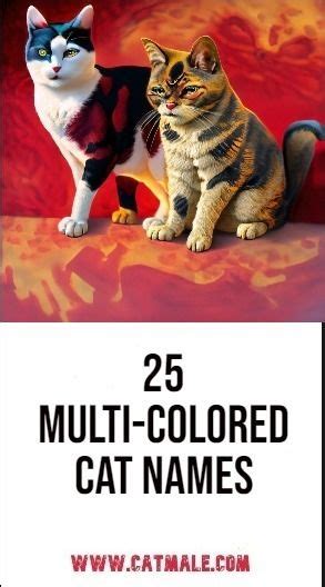 25 Multi Colored Cat Names Cat Names Kitten Names Cats