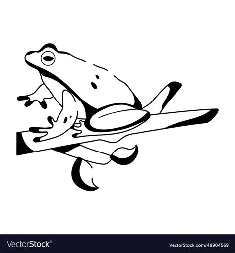 Tree Frog Royalty Free Vector Image VectorStock