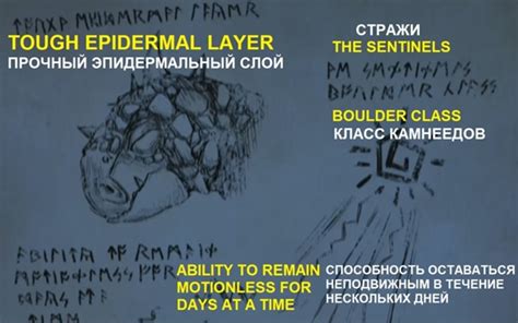 ЛОВИТЕ ЕЩЁ ПАРОЧКУ ПЕРЕВОДОВ ОТ АДМИНА Httyd Rtte Berk Dreamworks Runes Как приручить