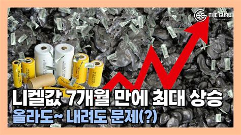 韓 양극재 기업 니켈가격 7개월 만에 최대 상승기대감 증폭 Youtube