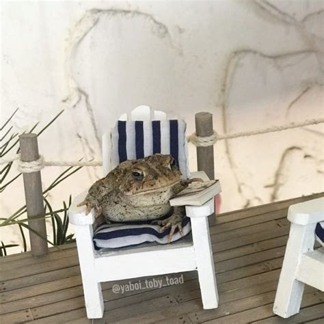 The Life Of Toby The Toad 30 Pics