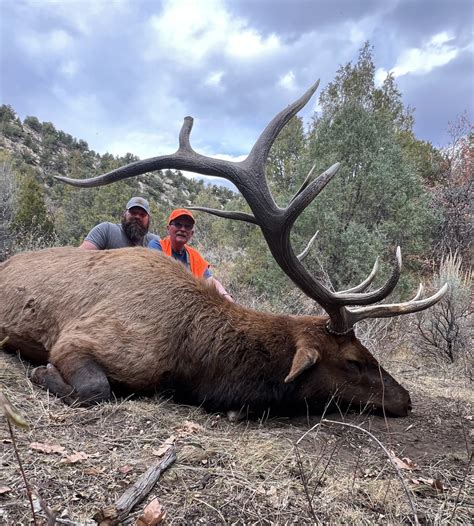 Apply For Colorados Limited Entry Big Game Tags Worldwide Trophy