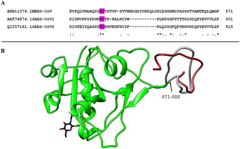 A Multiple Sequence Alignment Data Of Spike Protein Of Mers Cov