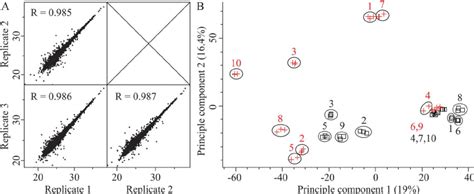 Proteomics Data Veri Fi Cation A Representative Scatter Plot Of The Download Scientific