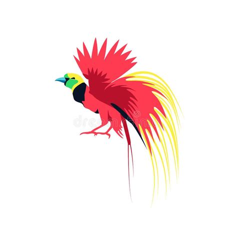 Polynesian Bird Stock Illustrations 777 Polynesian Bird Stock