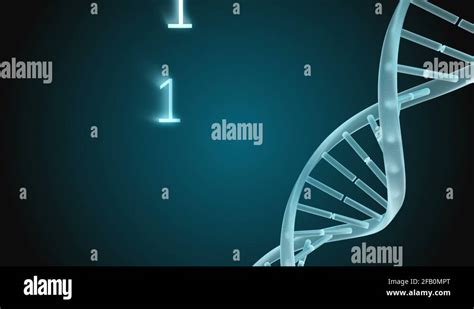 Dna Binary Stock Videos And Footage Hd And 4k Video Clips Alamy