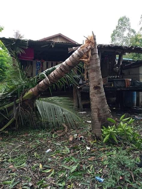 အပြစ်မဲ့ပြည်သူ ၂ ဦးသေဆုံးစေခဲ့သော သေ့ဘောဘိုးစစ်ရှောင်ရွာကို အကြမ်းဖက