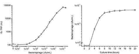 Performance Of The Complementation Probe Based Bacteriophage