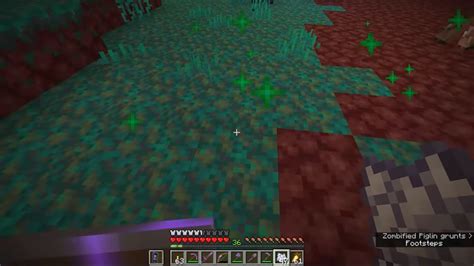 Minecraft How To Craft Warped Nylium [simple Guide]