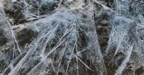 Frost Wordpress Theme 13 Amazing Answers For Success