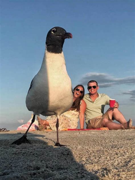 Try Not To Laugh On These 10 Funniest Vacation Photos Fails Genmice