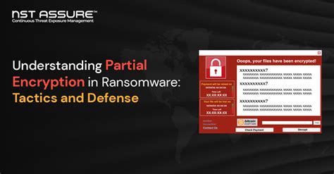 Nst Cyber Blogs Understanding Partial Encryption In Ransomware