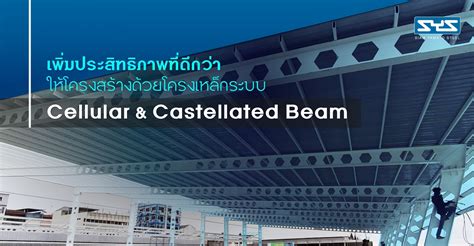 Cellular Beam Sys The Best Picture Of Beam