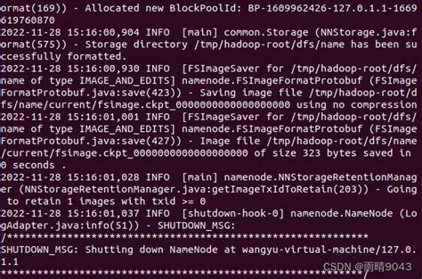 Hadoop伪分布式安装搭建教程用虚拟机安装一个伪分布式hdfs文件系统或分布式hdfs文件系 Csdn博客