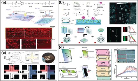 Biochemical Patterning Of Gel Surfaces Through Microfluidic