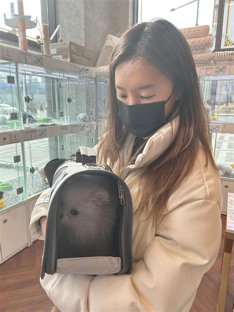 포메라니안 토리 고양이보호소 유기견보호소 유기묘보호소 비숑프리제책임분양 포메라니안책임분양 말티즈책임분양 말티푸책임분양 푸들책임