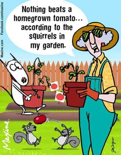 511 Best Yard Work Images On Pinterest Comic Comic Books And Comics