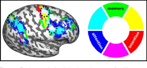 Figure 2 From The Prefrontal Cortex Working Memory Semantic Scholar
