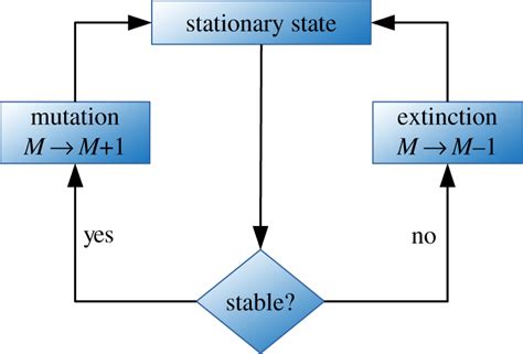 Schematic Algorithm For The Long Term Population Dynamics First We Download Scientific