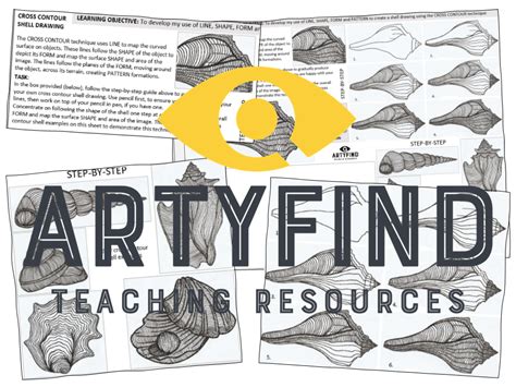 Cross Contour Shell Drawing 4 Teaching Resources