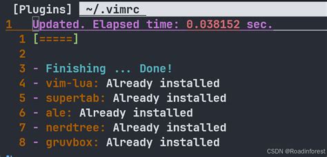Vim Plug的自动安装与基本使用介绍 Csdn博客