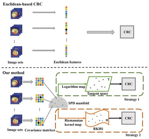 Overview Of The Euclidean Based Crc And Our Method Euclidean Based Download Scientific Diagram