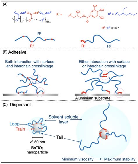 Forced Gradient Copolymer For Rational Design Of Mussel Inspired