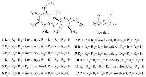 Isovaleryl Sucrose Esters From Atractylodes Japonica And Their