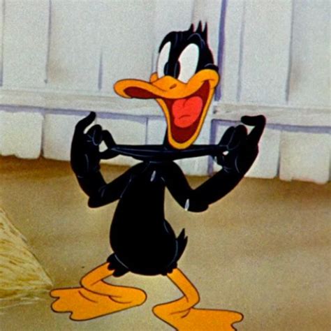 Im So Crazy I Dont Know This Is Impossible Screwball Duck Tumblr