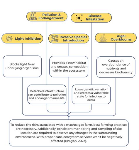 The Opportunities Significantly Outweigh The Risks Of Macroalgae Farming Heres How We Mitigate