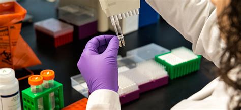 Home Molecular Pathology Division Johns Hopkins Pathology