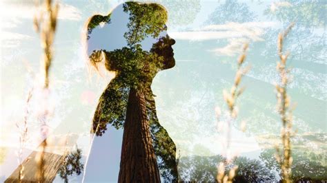 The National Park Service Has A Big Sexual Harassment Problem The Atlantic