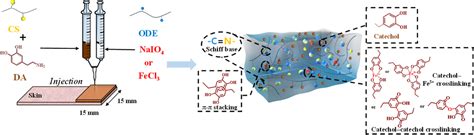 Injectable Dopamine Polysaccharide In Situ Composite Hydrogels With Enhanced Adhesiveness Acs