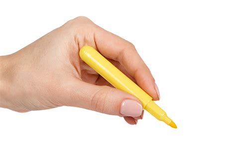 손 표시와 함께 쓰기의 측면 보기입니다 흰색 배경에 고립 Draft Sports에 대한 스톡 사진 및 기타 이미지 Draft Sports 개념 고용과 노동