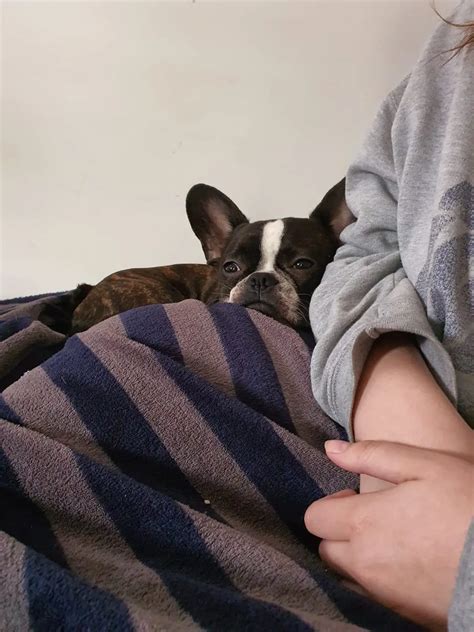 Squishy Goblin Scrolller