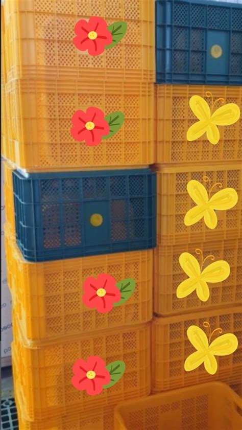 사과박스 사과상자 플라스틱상자 당근 중고거래